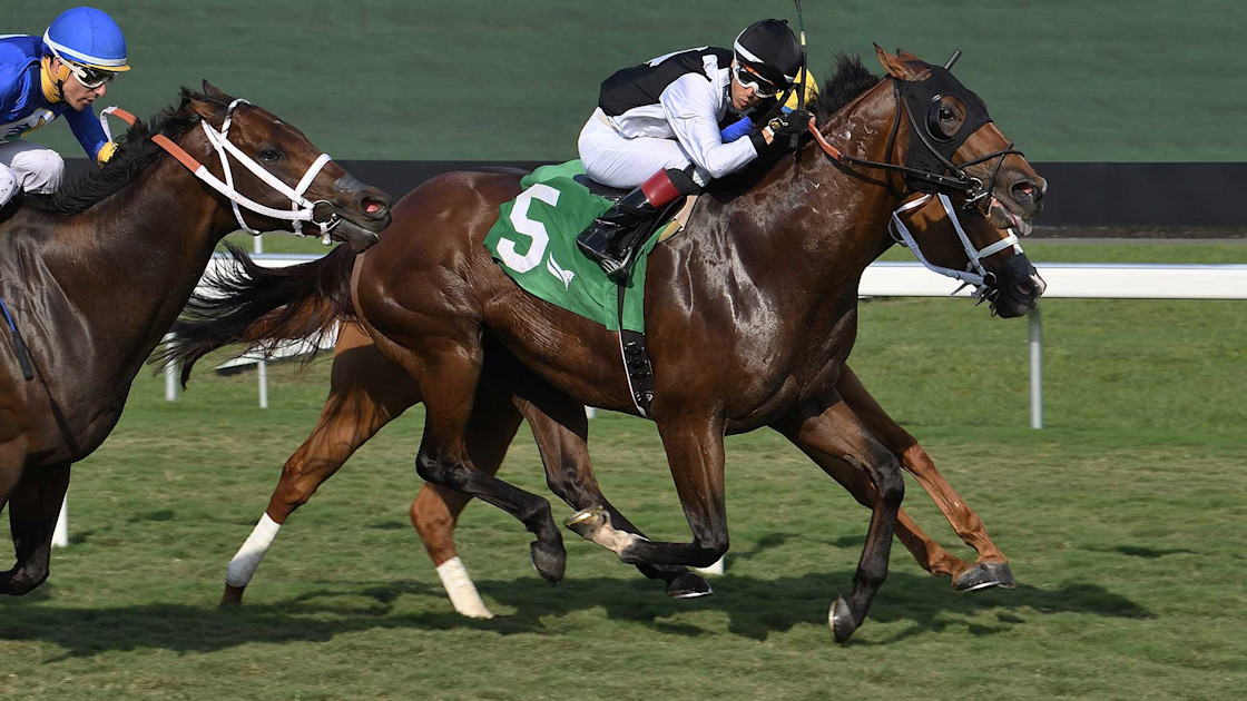 Coppola Runs Down Yes I Am Free in $100,000 Silks Run | Hallandale ...
