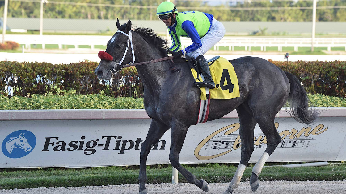 Dreaming of Kona Wins Mucho Macho Man by DQ | Gulfstream Park