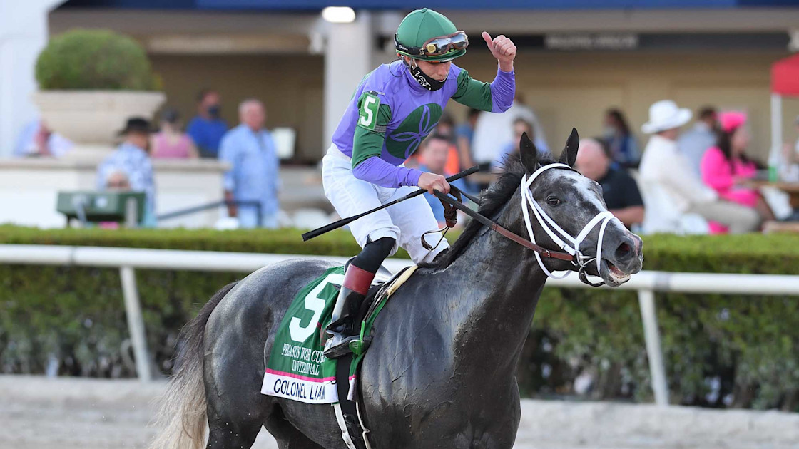 Colonel Liam Targets Fort Lauderdale (G2) as Pegasus Turf Prep ...