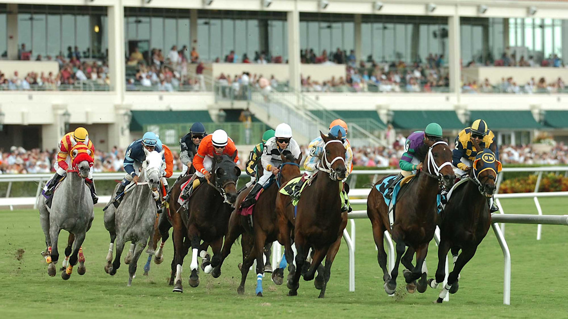 Mandatory Rainbow 6 Payout Closes Out Championship Meet | Hallandale ...