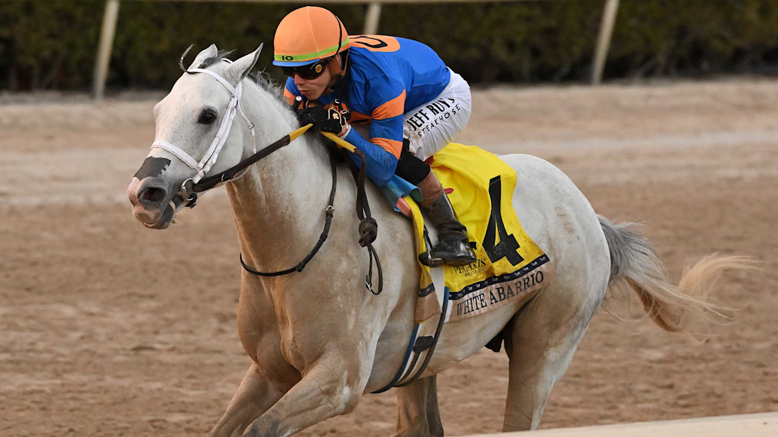 White Abarrio Works Sunday For G1 Pegasus World Cup Hallandale Beach