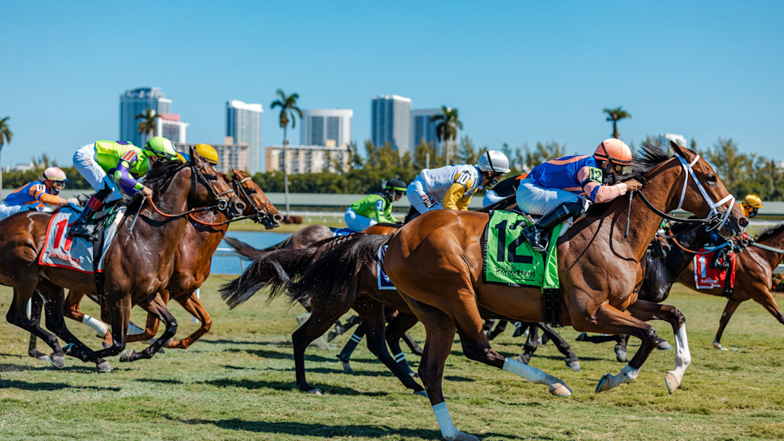 Juvenile Racing Returns to Gulfstream Park April 17 | Hallandale Beach ...