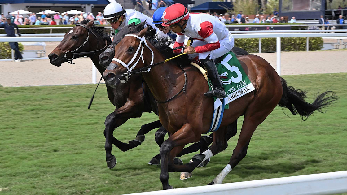 Abrumar Takes Them All the Way in Colonel Liam | Hallandale Beach ...