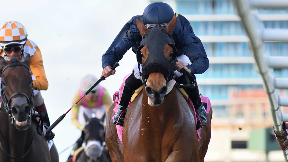 Epona’s Hope Looks to Extend Streak in Captiva Island | Hallandale ...