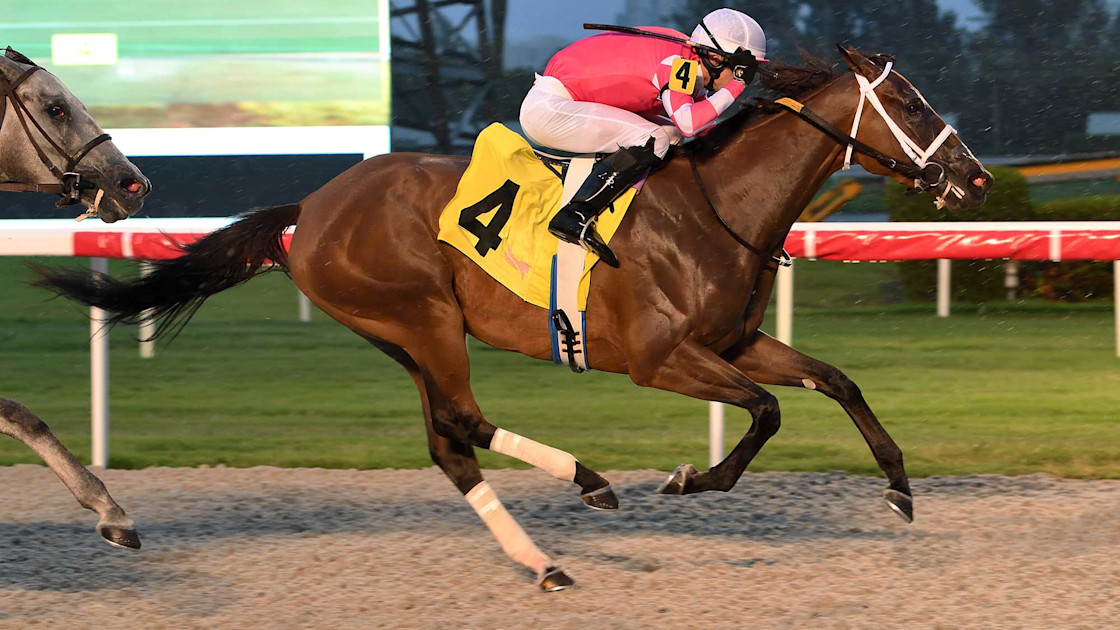 Leonel Reyes Notches 500th U.S. Victory | Gulfstream Park