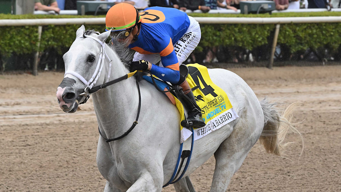 White Abarrio Wins G3 Ghostzapper “Easy as He Can’ | Hallandale Beach ...