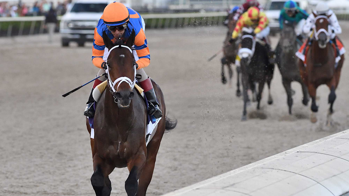 $1 MILLION CURLIN FLORIDA DERBY (G1) PRESENTED BY HILL ‘N’ DALE FARM AT ...