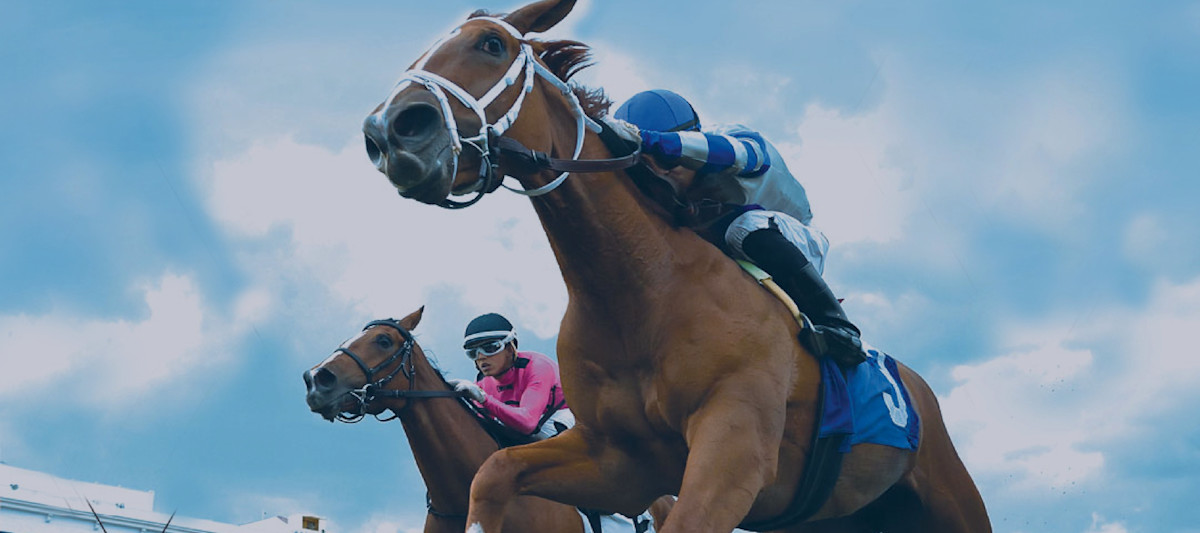 Irad Ortiz Jr. Scores 3000th North American Win at Gulfstream ...