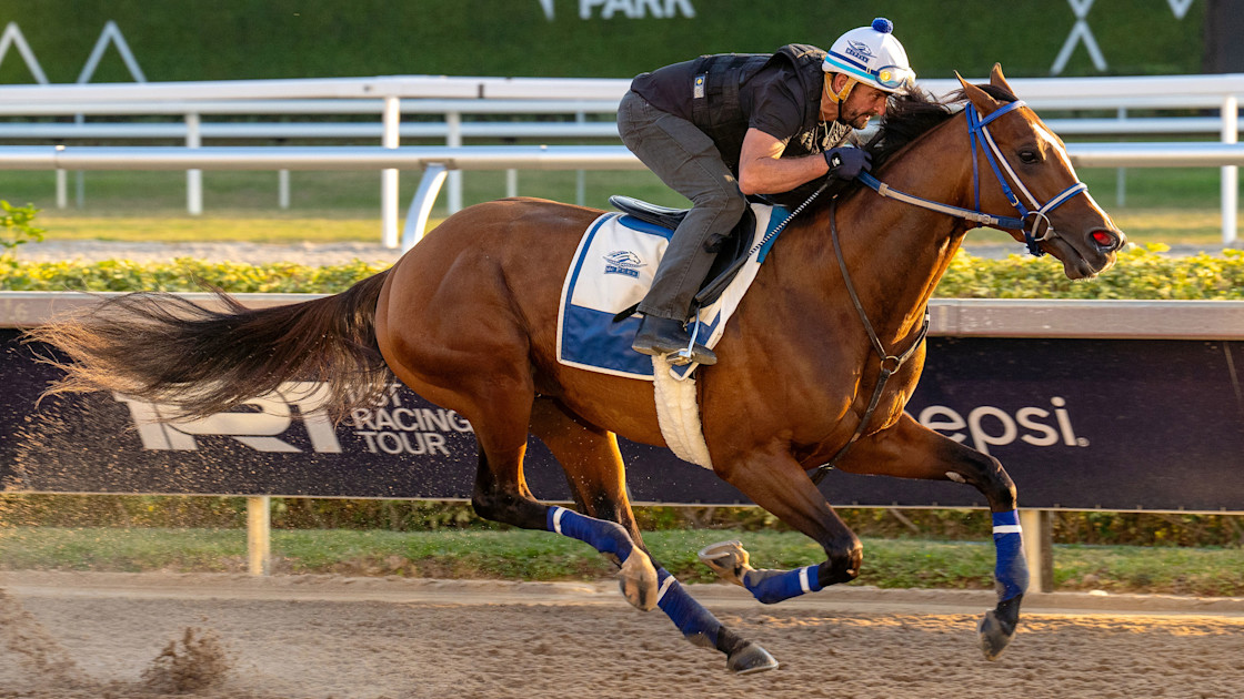 Albarado on Mystik Dan for Pegasus World Cup:‘I’m Expecting Him to Win ...