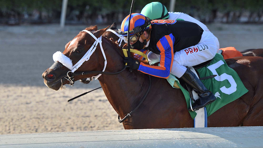 Drain the Clock Breezes Sharply for G3 Smile Sprint | Gulfstream Park
