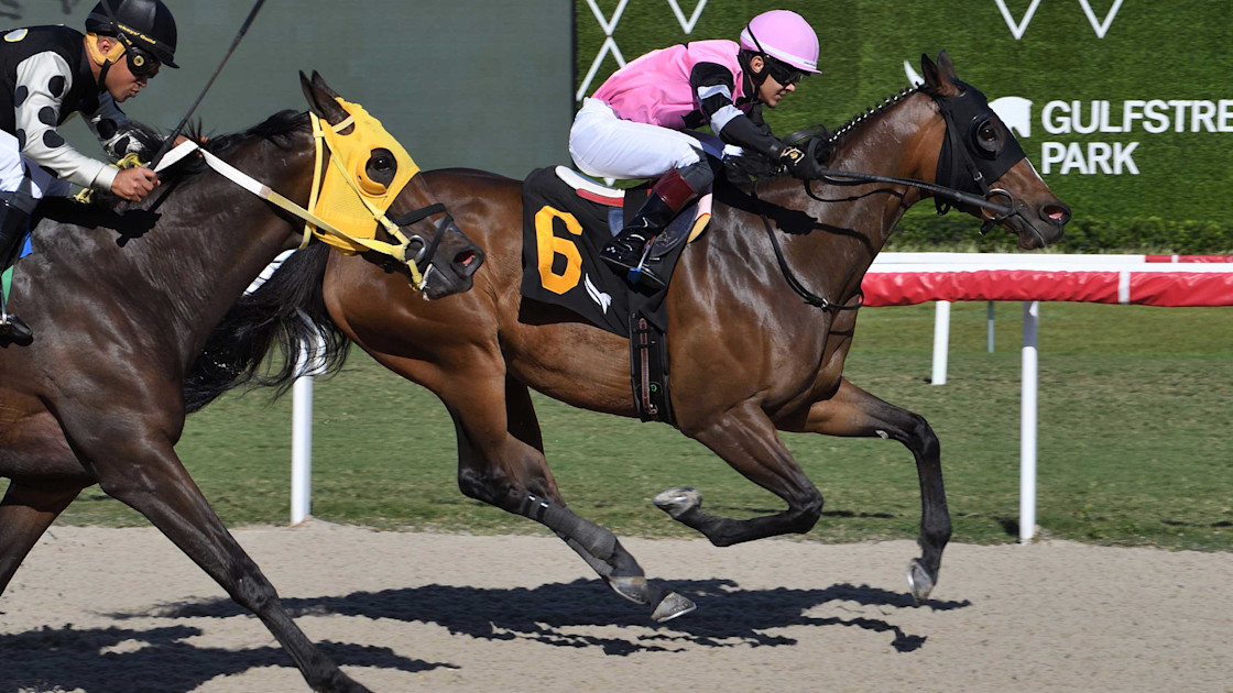 G1 Curlin Florida Derby Draw Goes Live Saturday | Hallandale Beach ...
