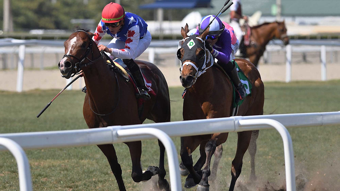 Crispy Cat Makes Quick Turnaround for Texas Glitter | Gulfstream Park