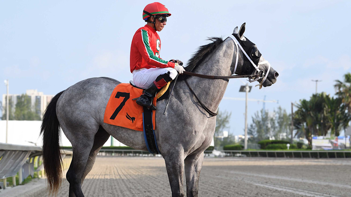 Gabaldon Makes Highly Anticipated Return in Texas Glitter \ Hallandale ...