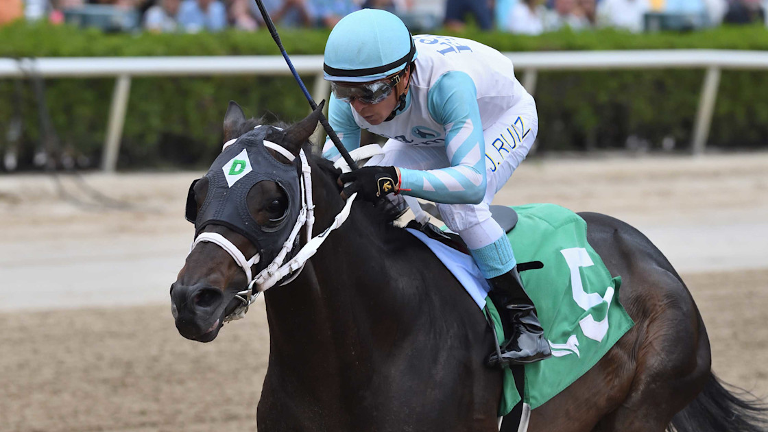 Super Chow Rallies for Gulfstream Park Sprint Win | Hallandale Beach ...