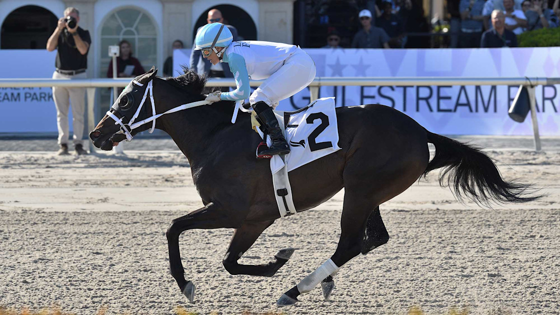 Super Chow, Sutherland Team Up for Saturday’s Hutcheson | Gulfstream Park