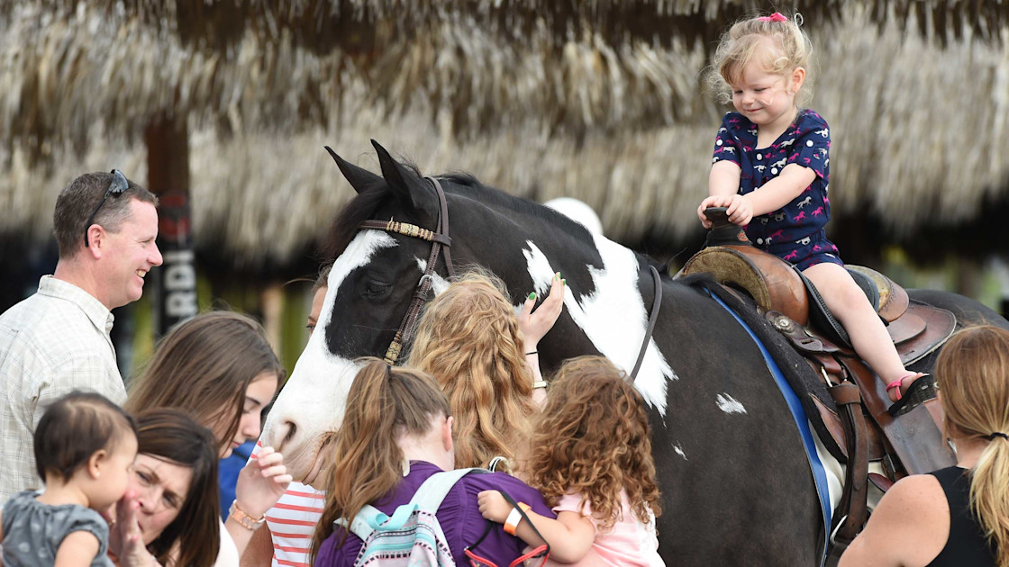 Breakfast at Gulfstream Returns Saturday | Hallandale Beach, Florida ...