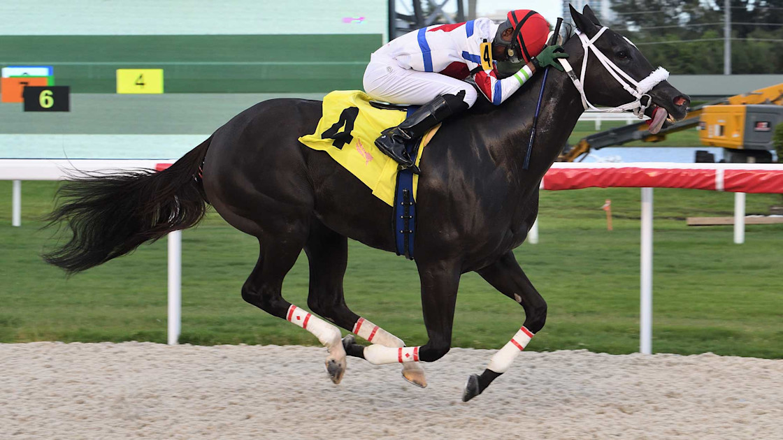 Running Memories Back Home for Sunday’s North Miami | Gulfstream Park