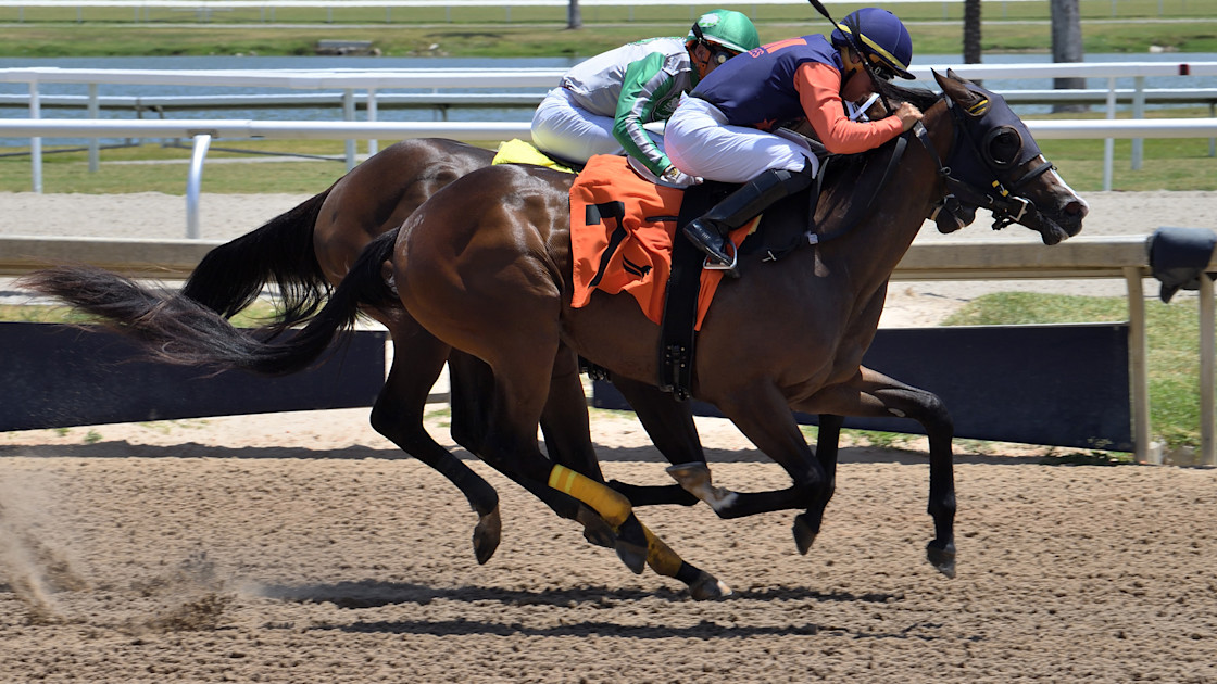 Willow Case Springs Upset in Juvenile Opener Thursday | Hallandale ...