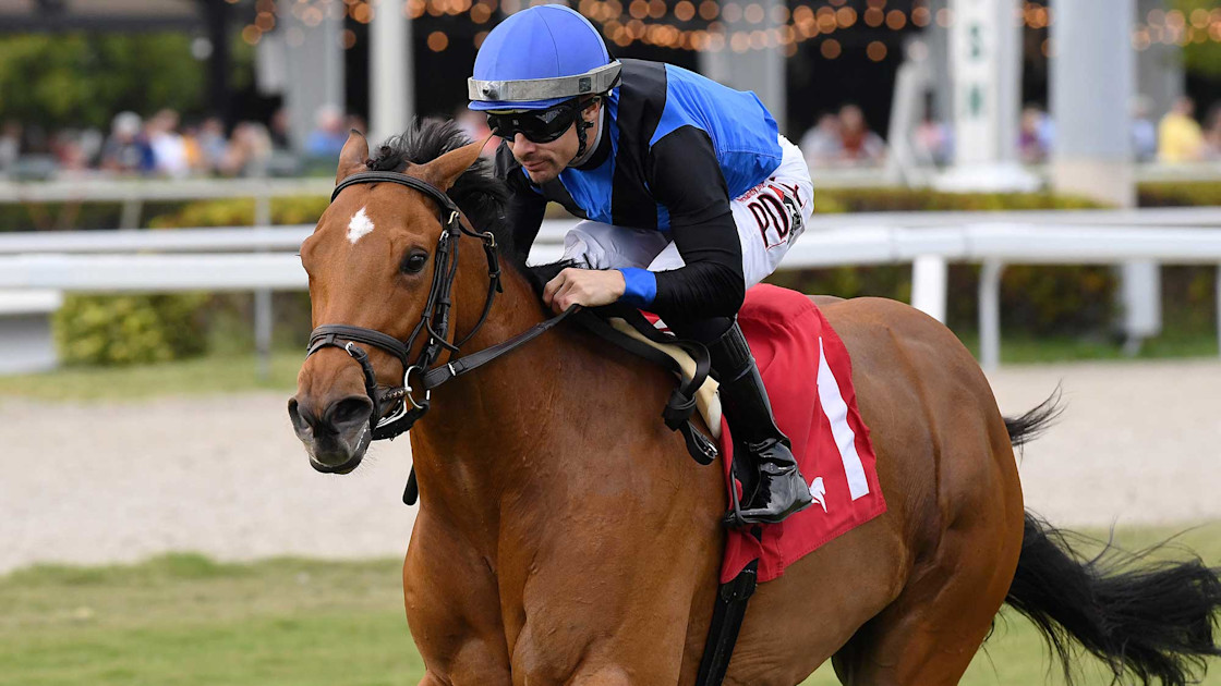 Lynch-Trained Stone Silent Dominates Ladies Turf Sprint | Hallandale ...
