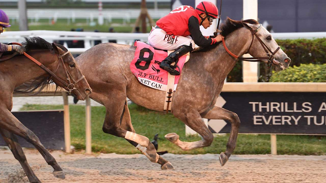 Rocket Can Circles Field to Win G3 Holy Bull | Gulfstream Park