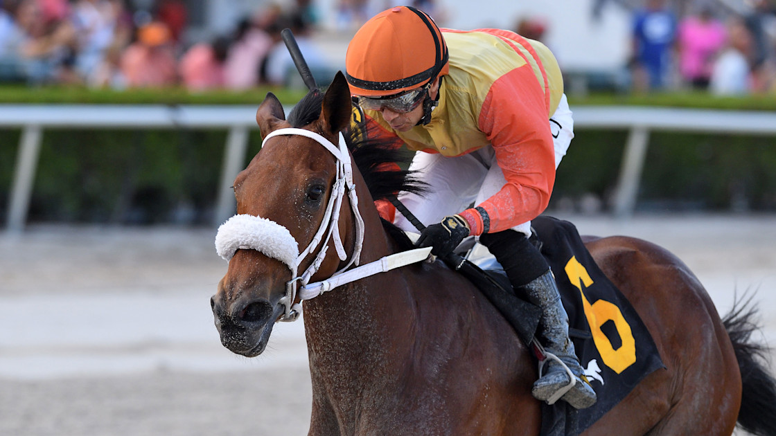 Maryquitecontrary Trying Tapeta in Sunday’s Daring Kathy | Hallanda;le Beach, Florida ...