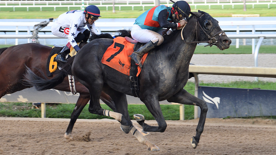Lightning Tones Goes Last to First in Black Diamond Cat | Hallandale ...
