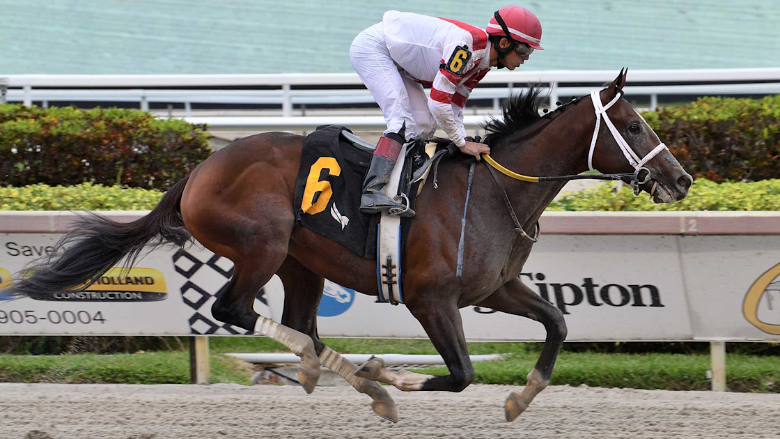 Lord Miles Breezes for Derby Start at Gulfstream | Gulfstream Park