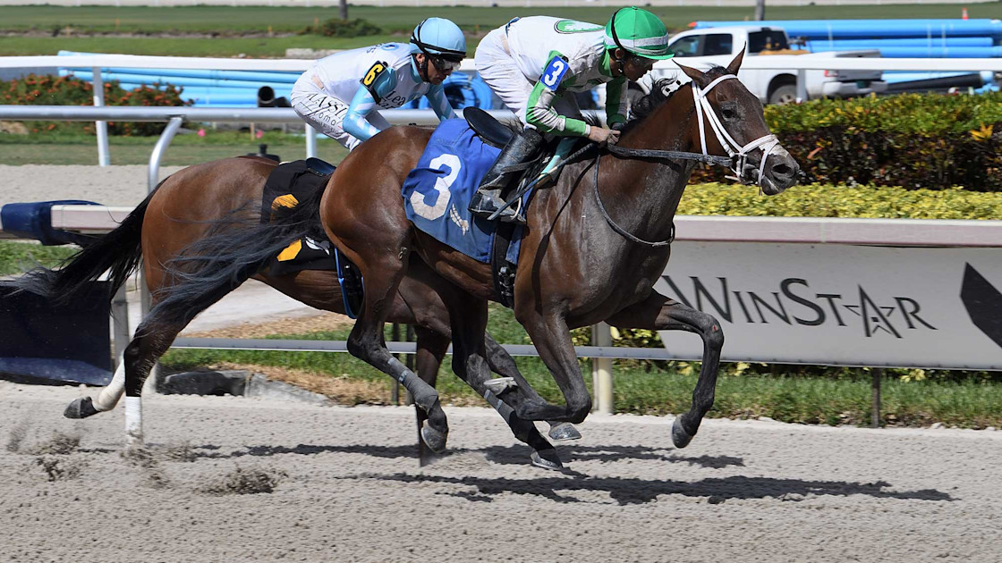 Lynx Looks to Double Up in Saturday’s $200,000 Susan’s Girl ...