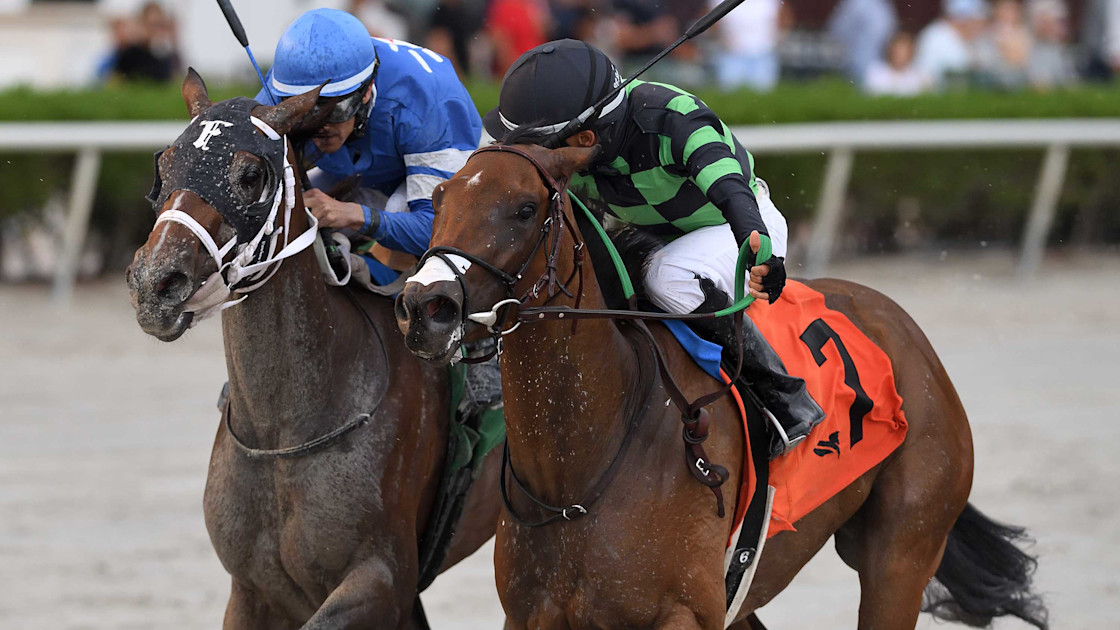 Graded-Placed Flakes Wins 1st Stakes in Saturday’s Game Face ...