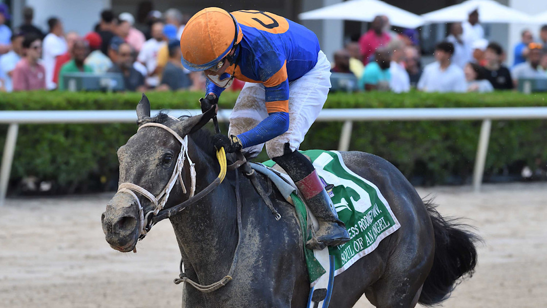 Champion Mare Soul of An Angel to Skip Saudi Derby | Hallandale Beach ...
