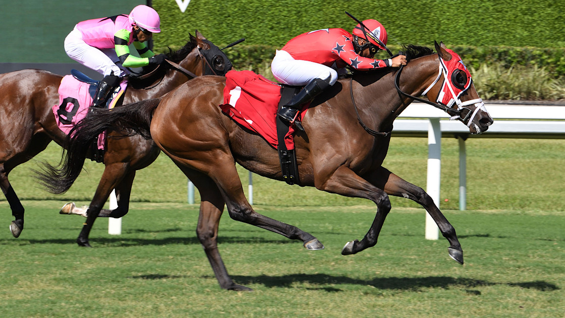 Scarlet Sands Chasing Third Straight Win in Miss Gracie | Hallandale ...