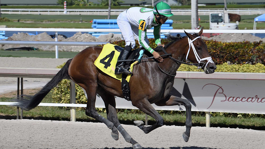 Lynx Remains Undefeated in $200,000 Susan’s Girl | Gulfstream Park