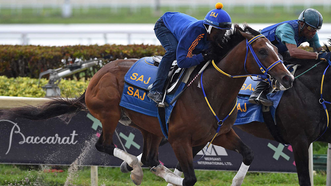 Lord Miles Sharp in Friday Returns to Gulfstream Worktab | Gulfstream Park