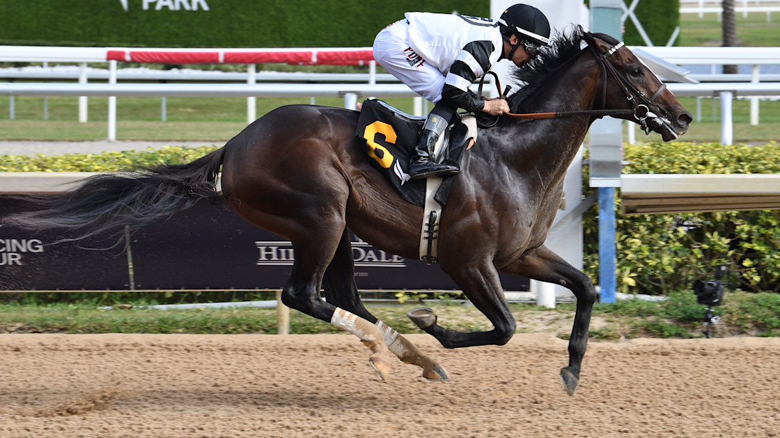Mott Unveils Pair of Sharp 3YO Debut Winners | Hallandale Beach ...