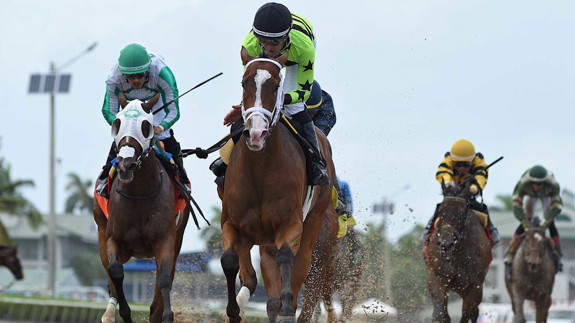 Let Them Watch Puts on a Show in Sunday’s Sharp Susan | Gulfstream Park