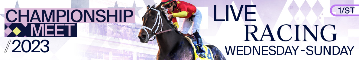 Watch Live Horse Racing Stream Now | Gulfstream Park