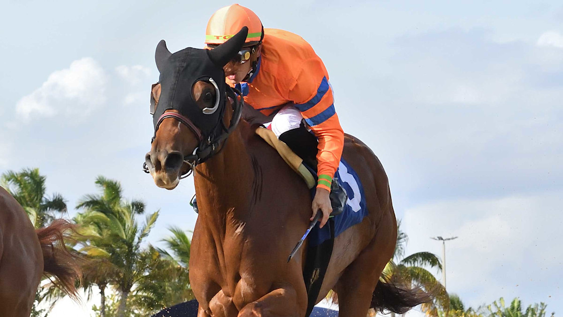 Windy Walk Upsets Grade 1 Winners in $140,000 Rampart | Hallandale ...