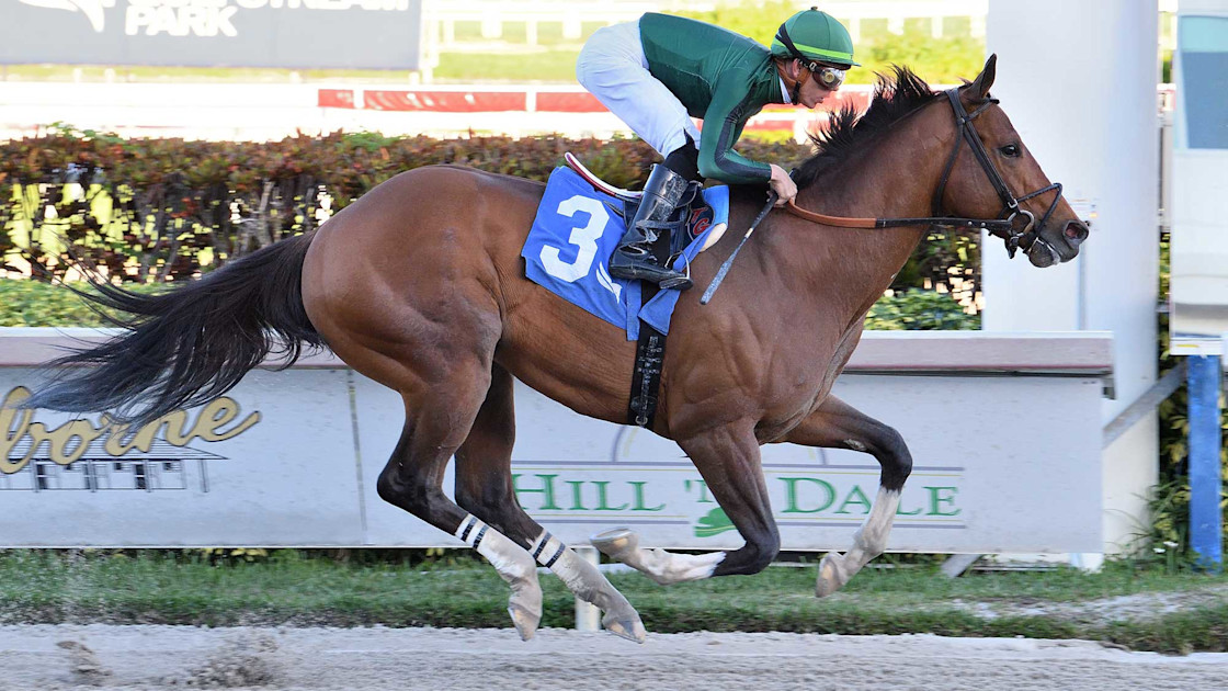 Cyclone Mischief ‘In a Good Spot’ for Saturday’s G3 Holy Bull ...