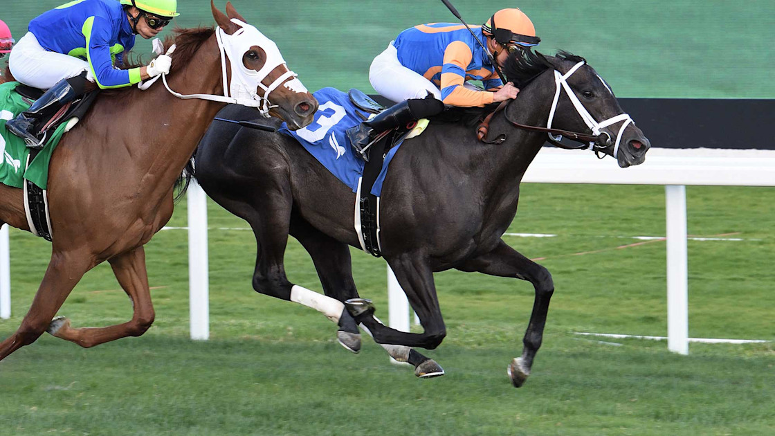 Cairo Consort Opens Season with $100,000 Ginger Brew Victory ...
