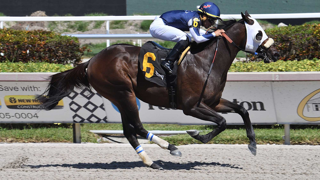 Boris Ready for All-Weather in Hollywood Beach | Gulfstream Park