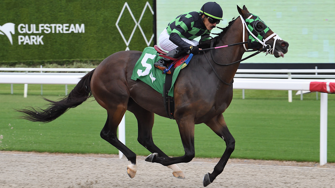 Prevent a Winner in Mambo Meister | Hallandale Beach, Florida | Gulfstream Park