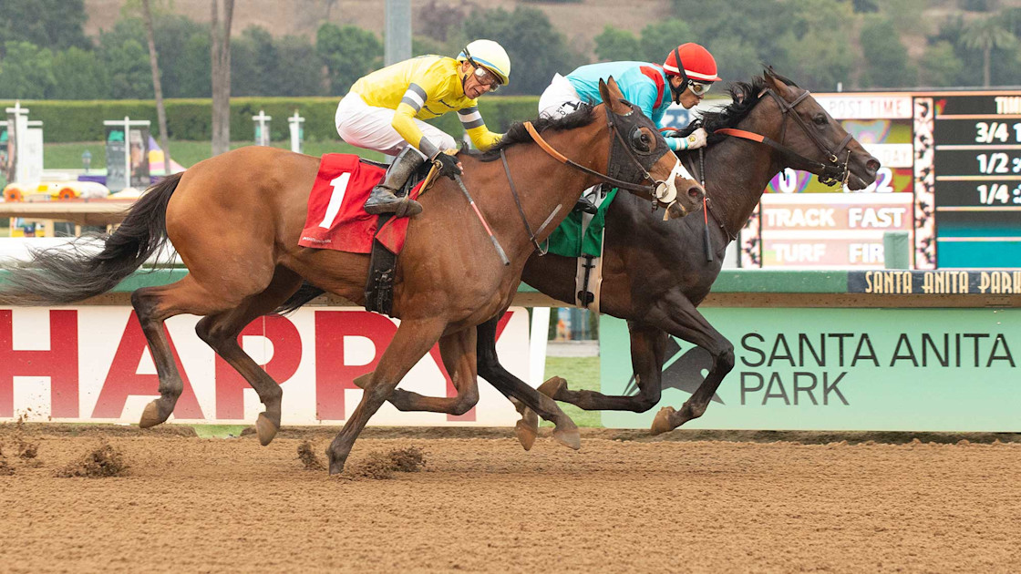 Win Machine Todo Fino Returns in Saturday’s G3 Smile Sprint ...