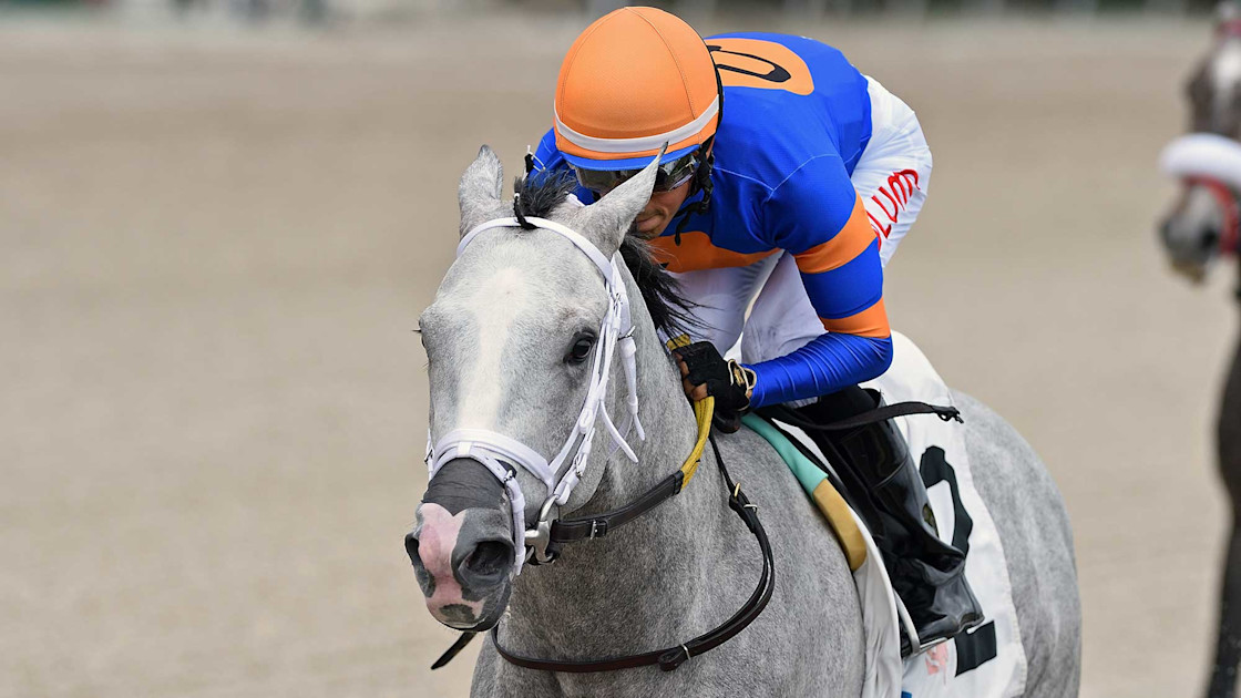 White Abarrio Produces ‘Bullet’ Breeze at Gulfstream | Gulfstream Park
