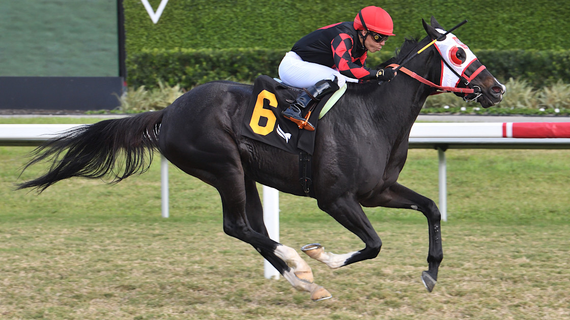 Ex-Claimer Ashima Scores in Sunshine Filly & Mare Turf | Hallandale ...
