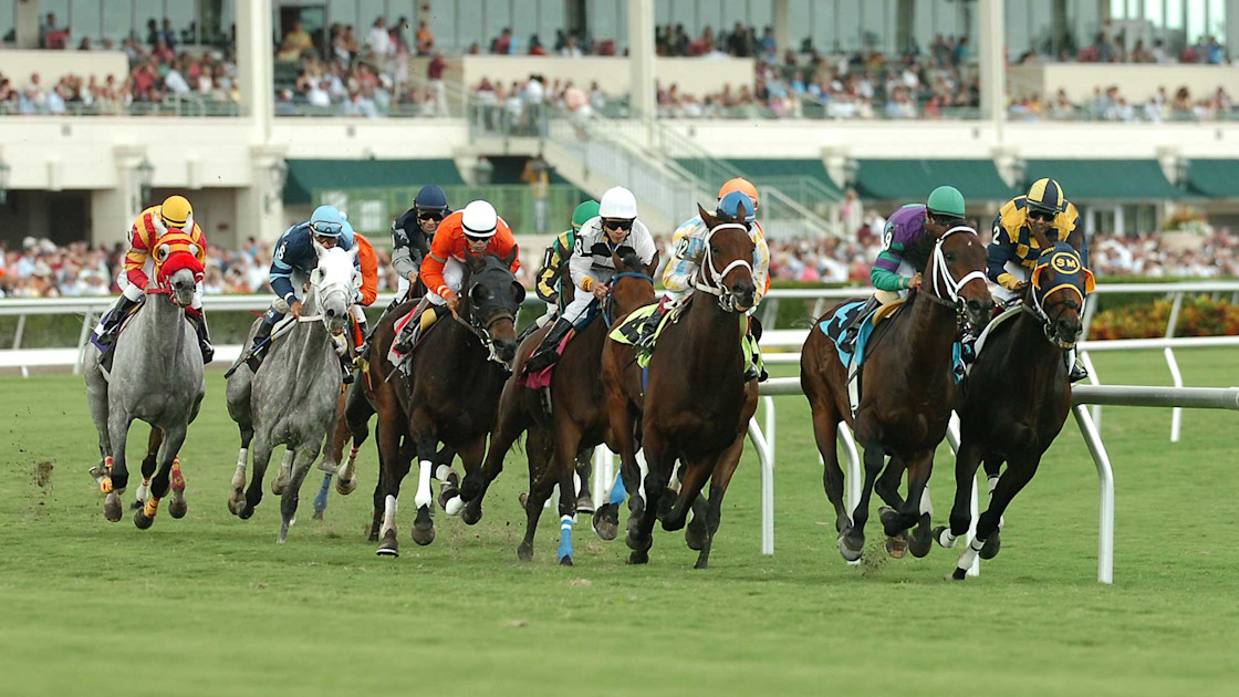 Turf Racing, 5-Day Racing Week Return at Gulfstream | Gulfstream Park