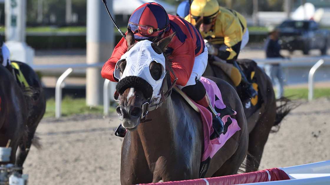 Most Handsome Looking Good after Hollywood Beach Win | Hallandale Beach ...
