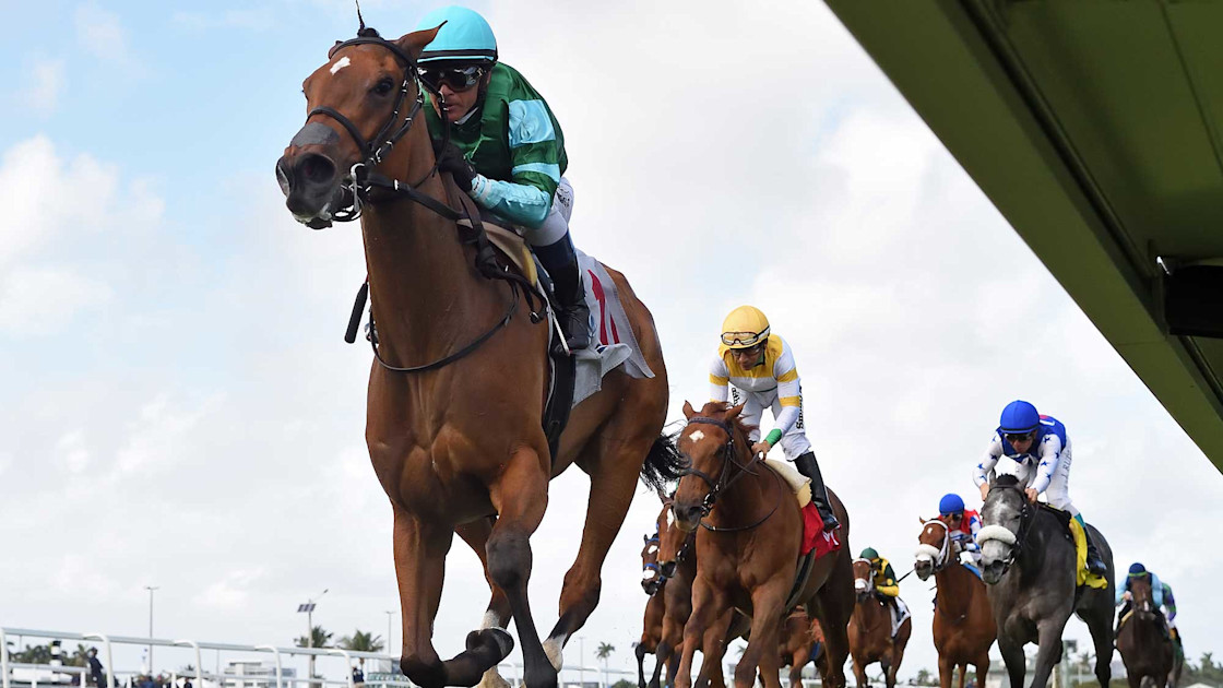 Hall of Famer Casse Pointing Three to Herecomesthebride (G3 ...