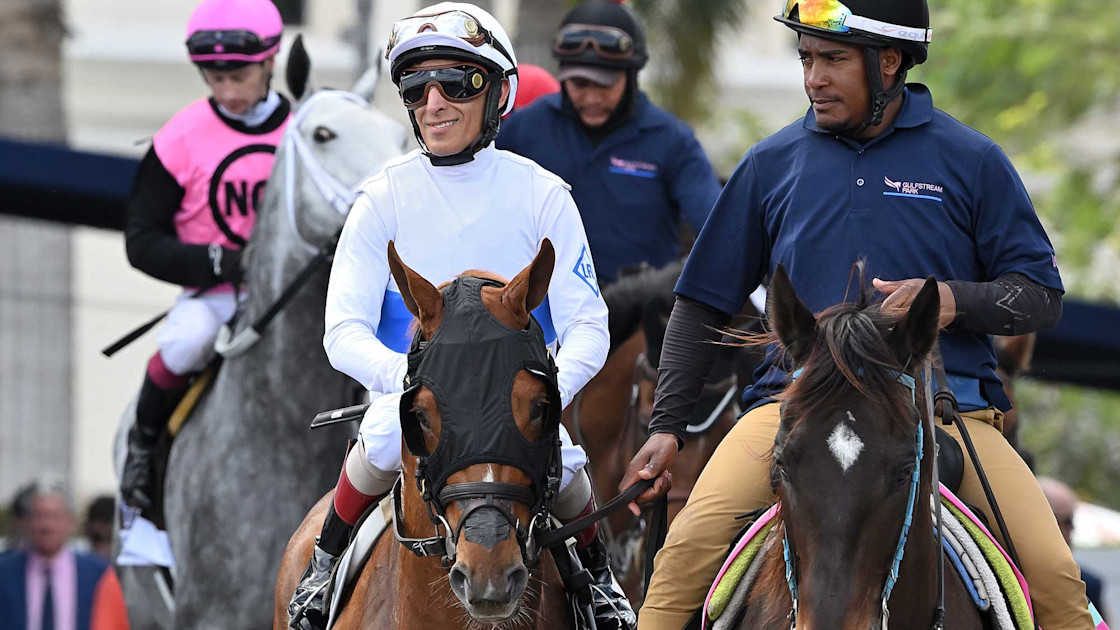 Lynch Seeks to Spoil Maker’s Mac Diarmida Party with Anglophile ...