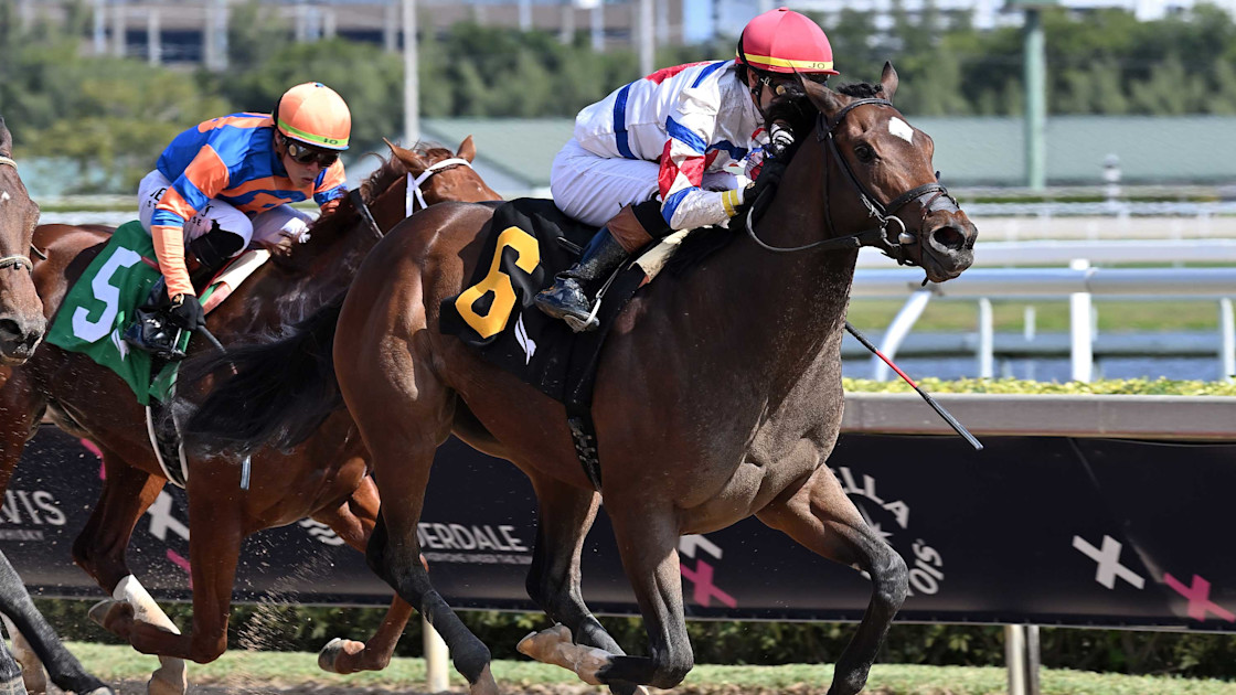 Lynch-Trained Jimmy’s Dailys Set for Curlin Florida Derby | Hallandale ...