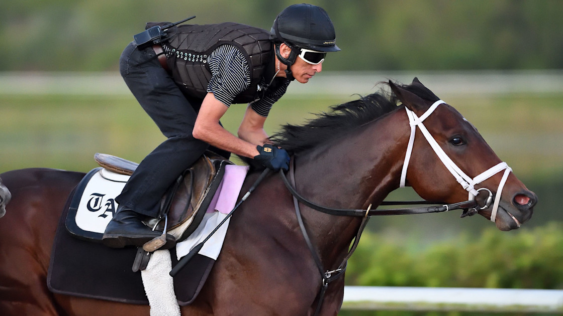 Champion Fierceness Tops Noms List for G1 Curlin Florida Derby ...